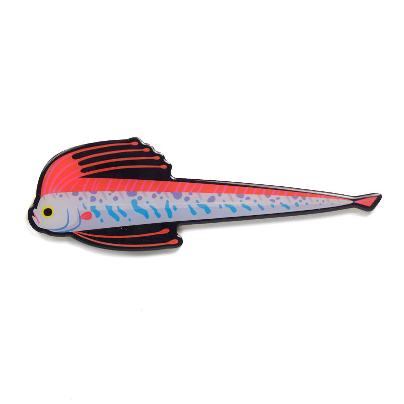 Oar Fish - 8" Acrylic Magnet – The Beast Is Back Inc